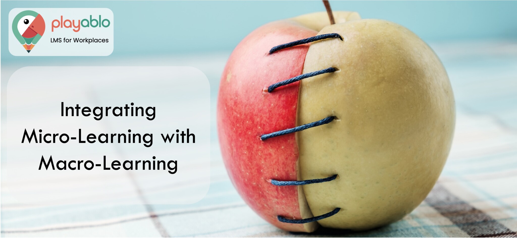 Integrate Macrolearning + Microlearning for Powerful Training 101