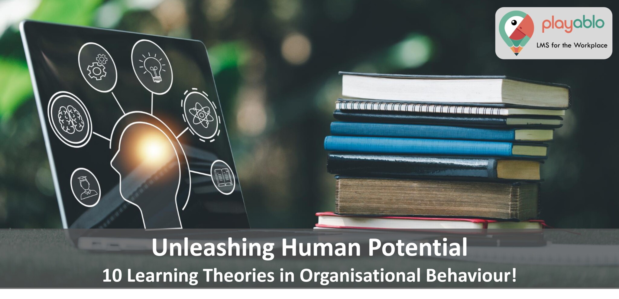 10 Powerful Learning Theories in Organisational Behaviour: A Deep Dive