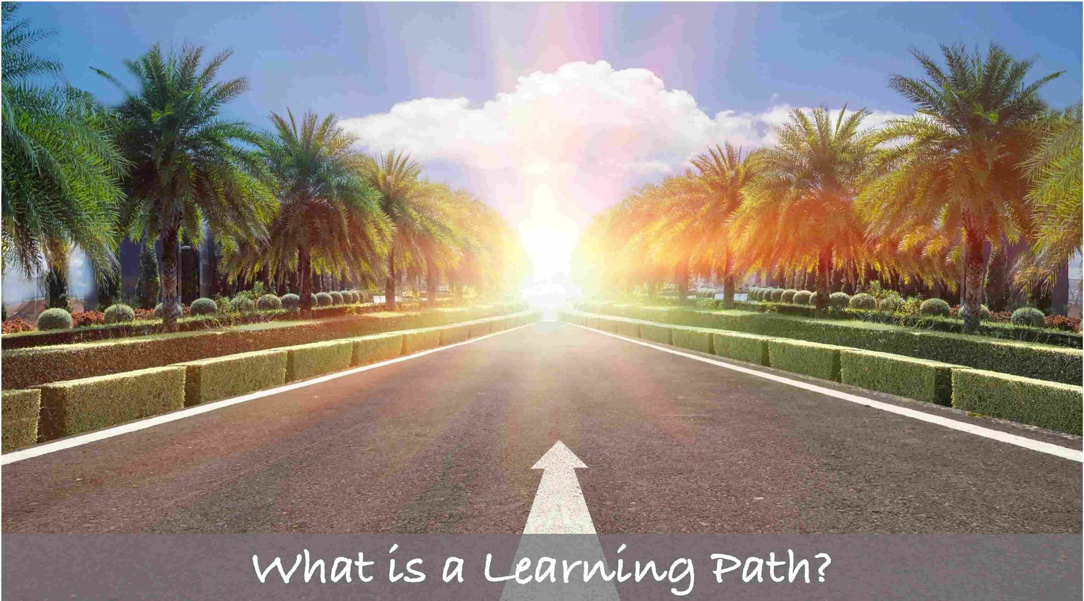 What is Learning Path and How to Create One – Playablo LMS | India, US ...